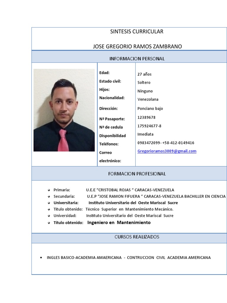 Curriculum Ejemplo | PDF