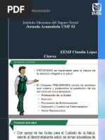 PIMSS 4T - 1T. Programa Institucional Del IMSS 2020-2024 | PDF ...