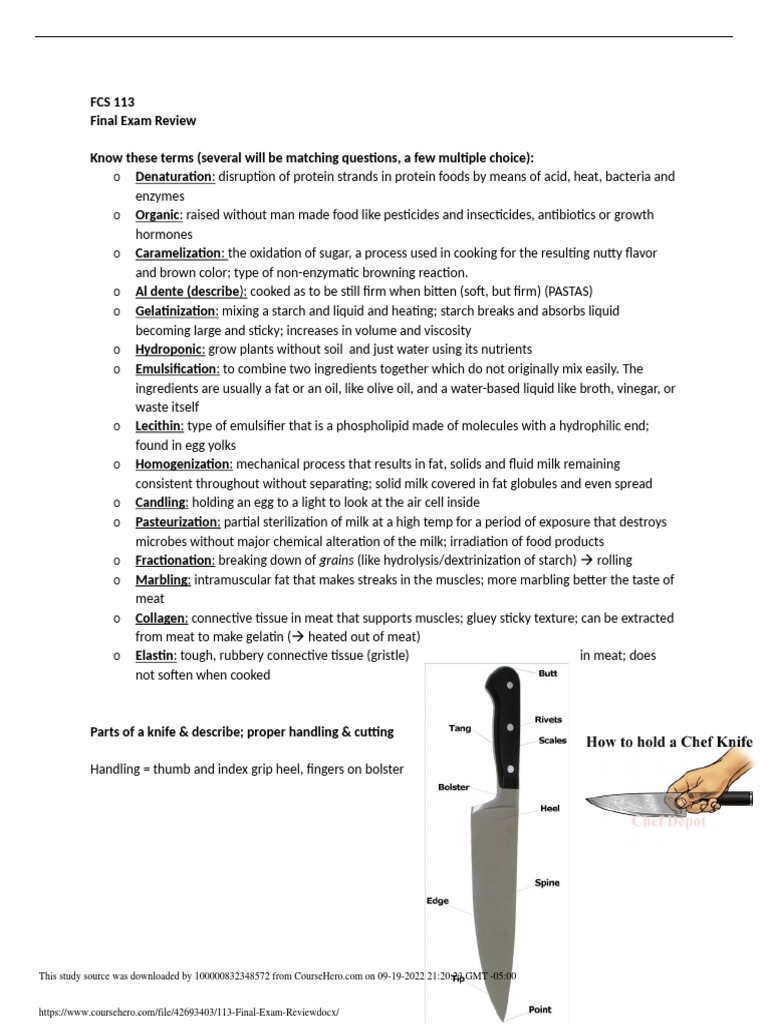 113 Final Exam Review Pdf Breads Egg As Food