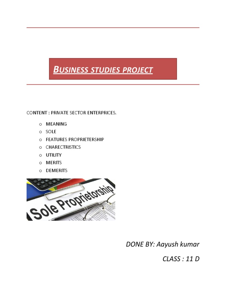 Business Studies Project - AAYUSH | PDF | The Coca Cola Company | Sole ...