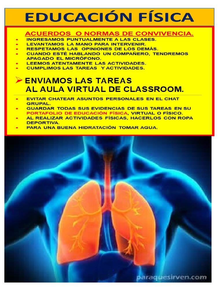 Jcm-Semana 9 - Exp 3-Actv 3 | PDF | Respiración | Pulmón