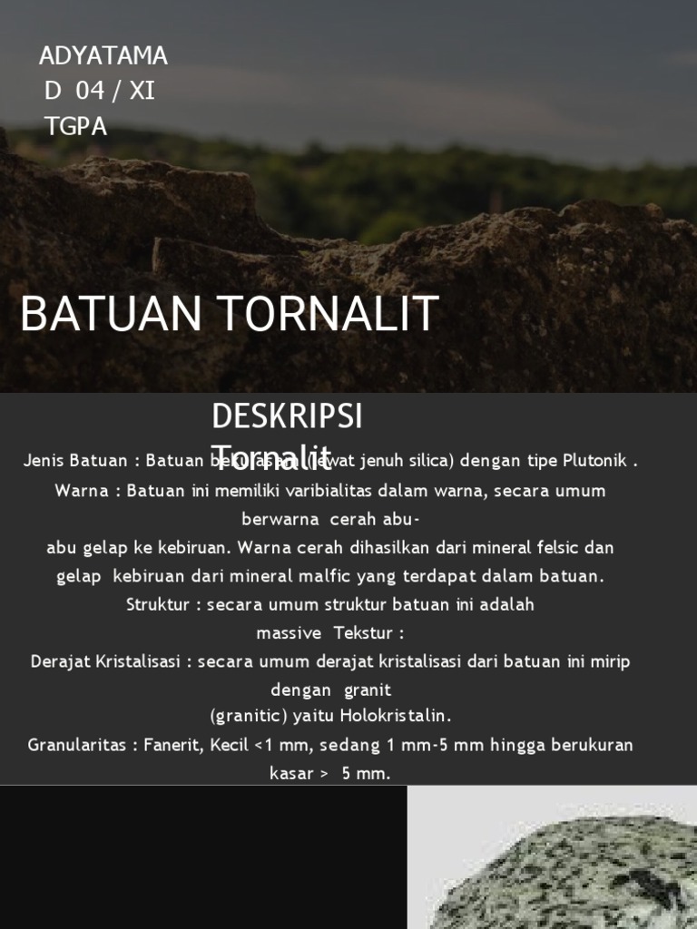 Protogenesa Tonalit | PDF | Ilmu Sosial