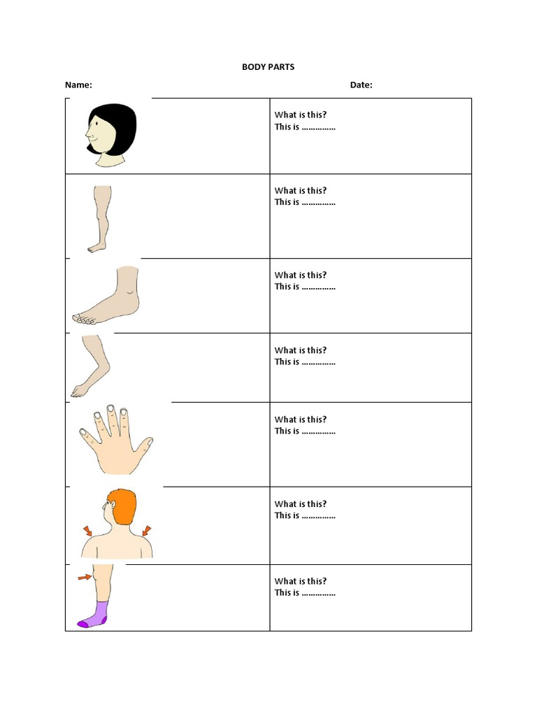 BODY PARTS | PDF