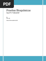 Pruebas Bioquímicas de Citrobacter Freundii | PDF