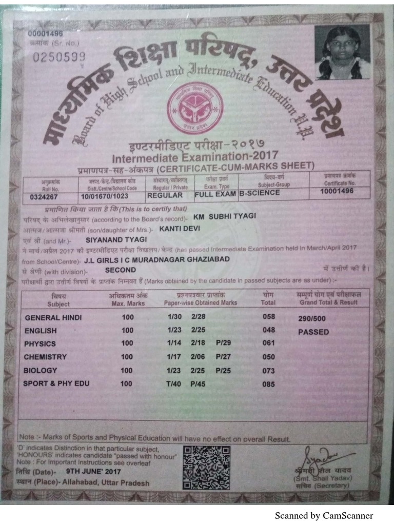 Inter Marksheet | PDF