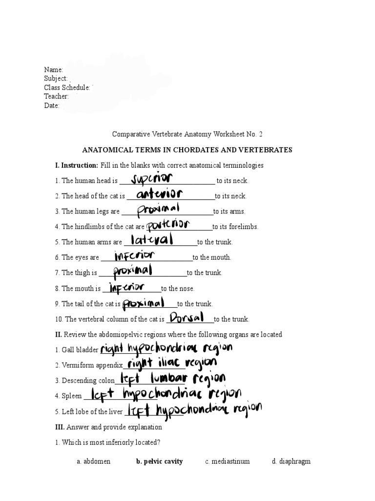 CDU ZOOLOGY Anatomical terminologies in chordates and vertebrates ...