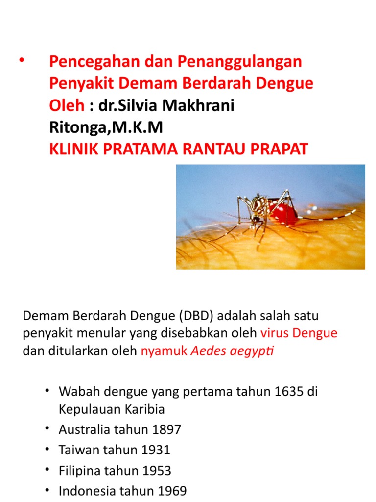 Dokumen - Tips Penyuluhan Demam Berdarah Puskesmas | PDF