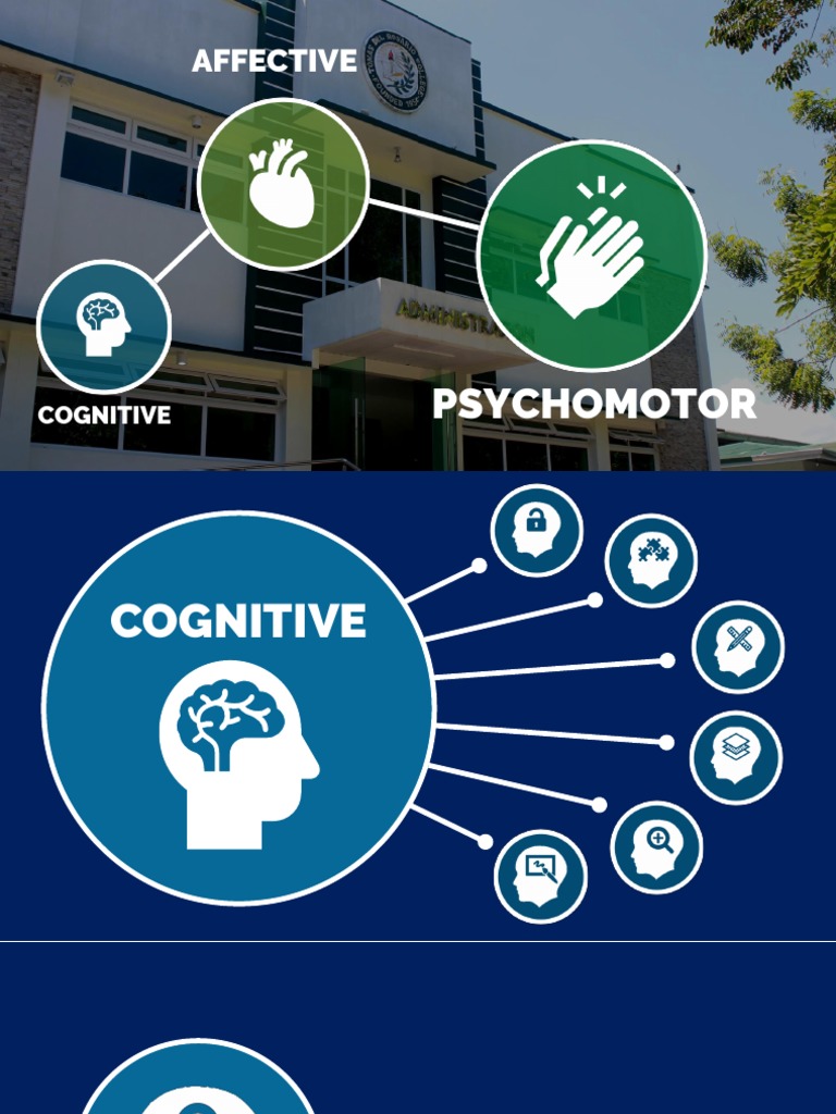 Psychomotor Domain Report PDF Affect Psychology Cognition