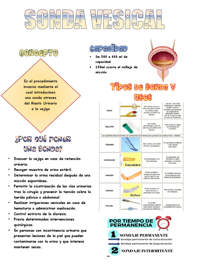 Sonda Foley | PDF | Sistema urinario | Vejiga urinaria