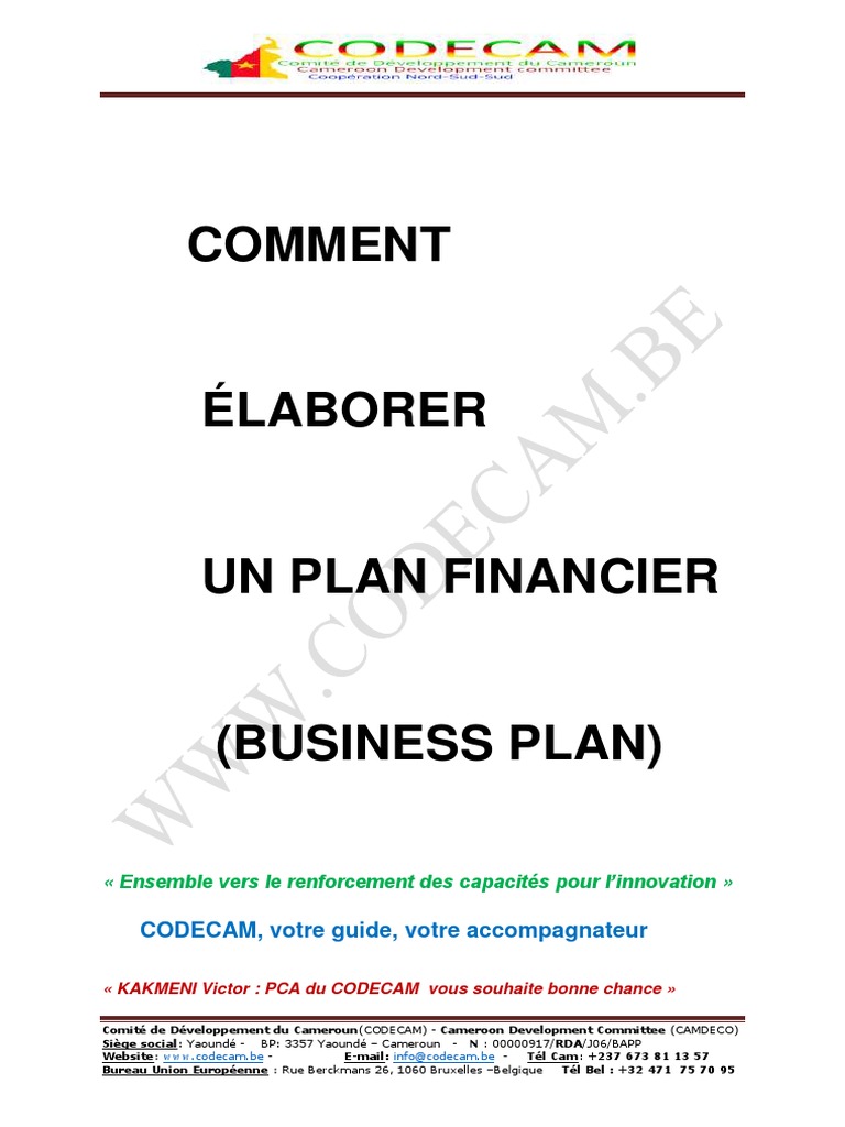 Comment Elaborer Un Plan Financier | PDF | Plan d'affaires | Business