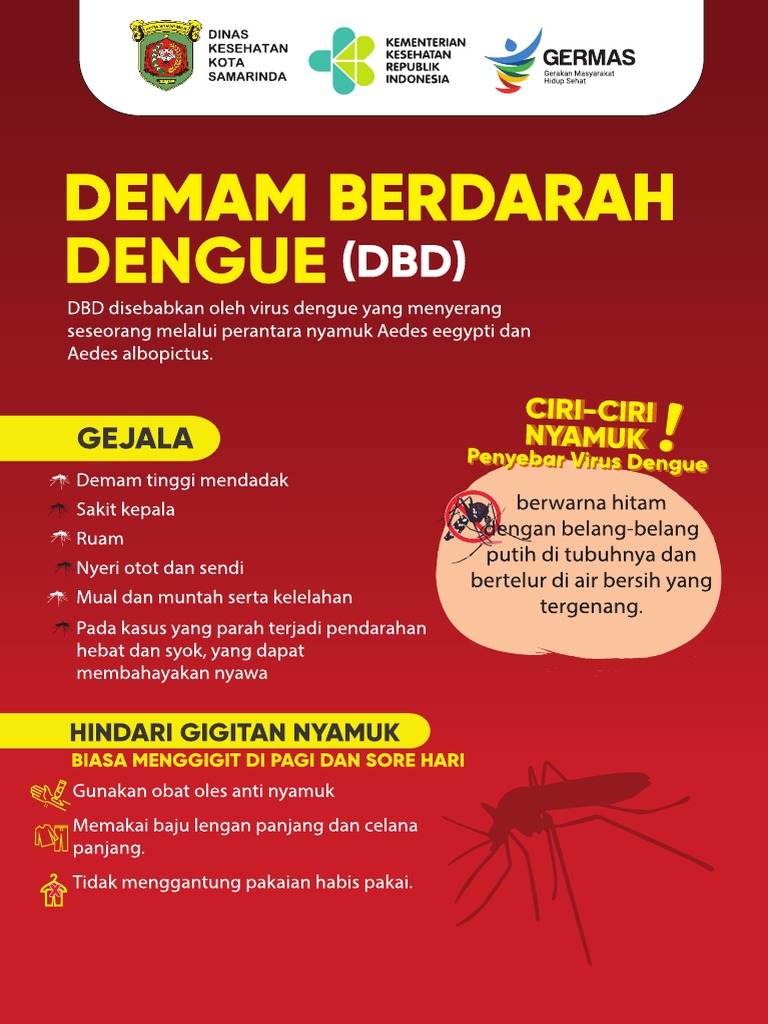 Flyer DBD | PDF