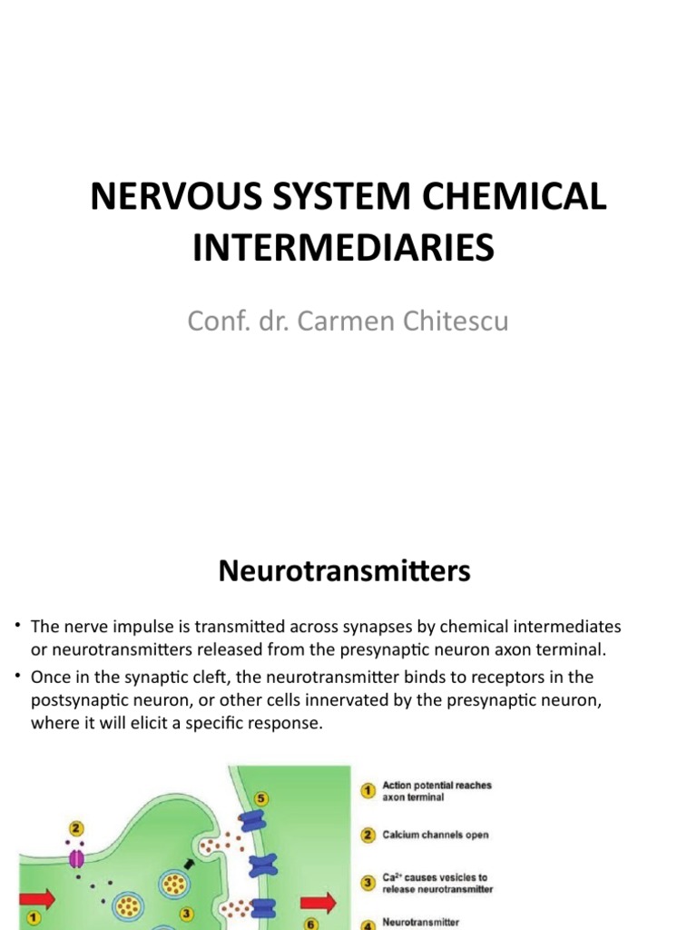 Course 12 - Neurotransmiters | PDF | Neurotransmitter | Chemical Synapse