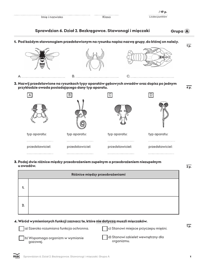 SPR 01 kl6 Po Dziale II Biologia P | PDF