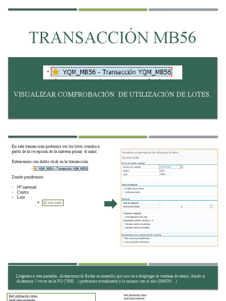 Guía Uso Transacción Mb56 | PDF