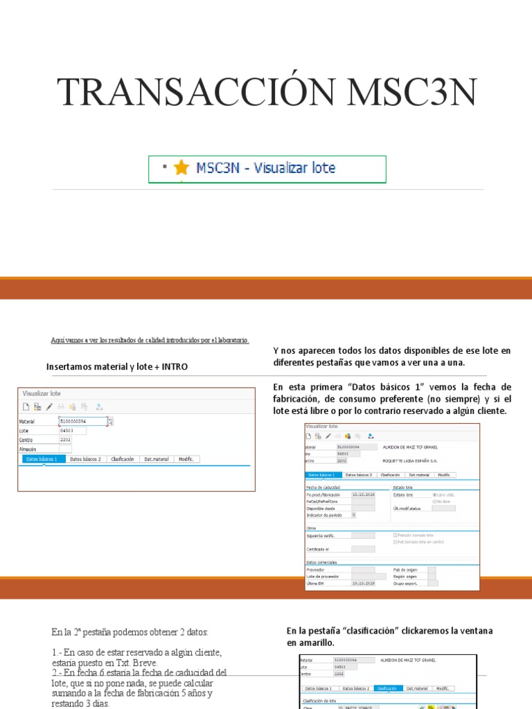 Guía Uso Transacción Msc3n | PDF | Tecnología