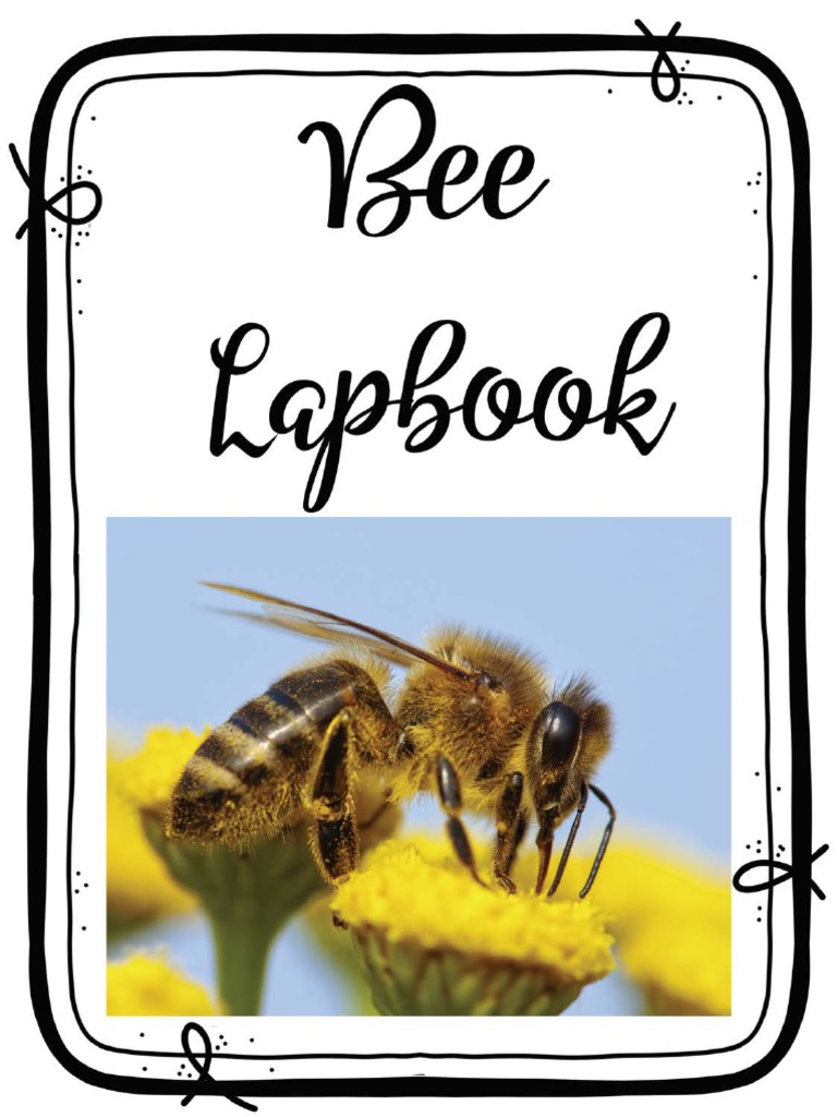 Bee Lapbook | PDF