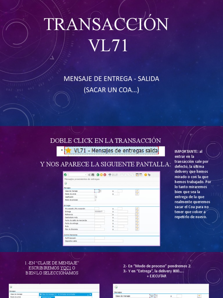 Guía Uso Transacción Vl71 | PDF