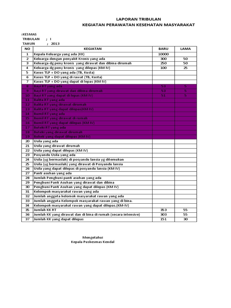 Contoh Laporan PHN | PDF