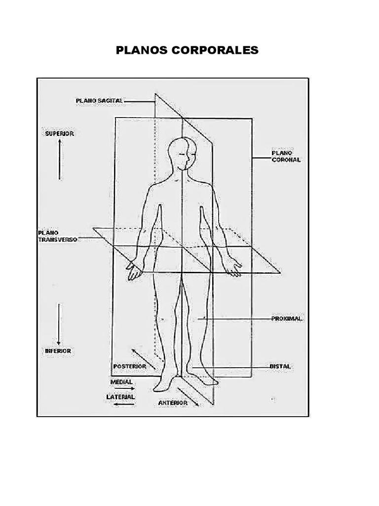 Planos y Ejes Corporales | PDF