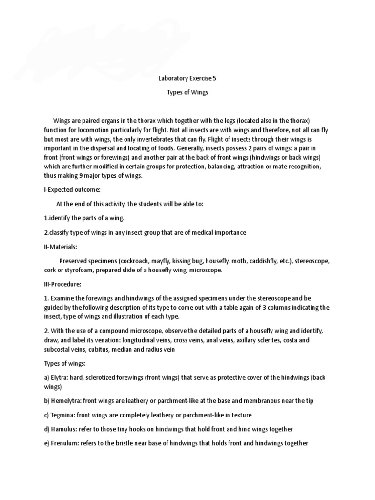 Types of Insect Wings Laboratory Exercise and Notes | Download Free PDF ...