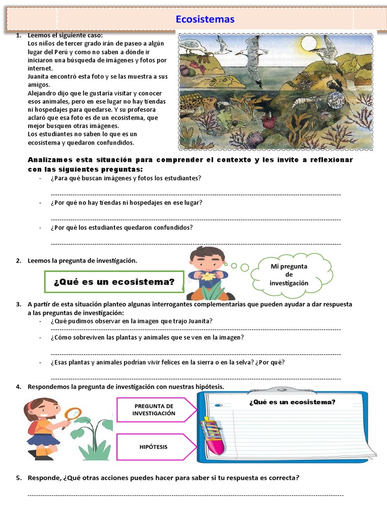 Exploración de Ecosistemas para Niños | PDF | Ecosistema | Science