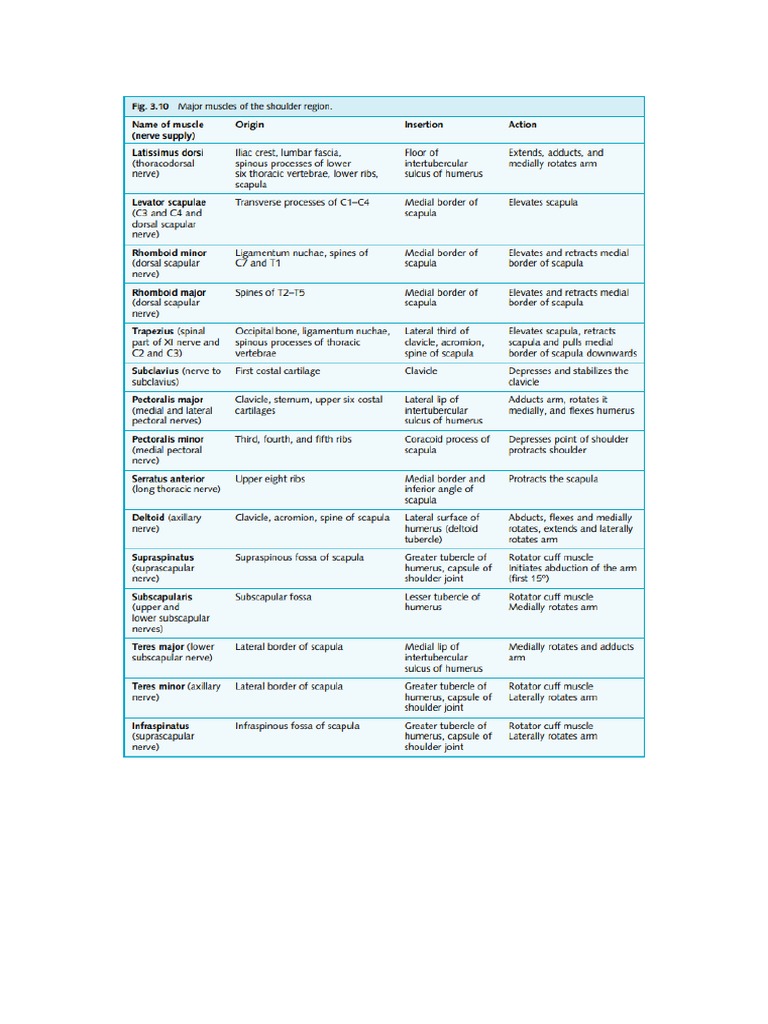 Crash Course Anatomy - Muscle Tables | PDF