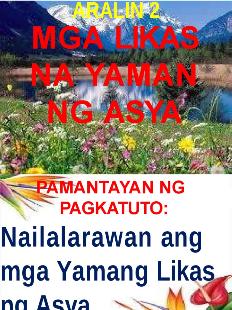 Ang Likas Na Yaman Sa Asya | PDF