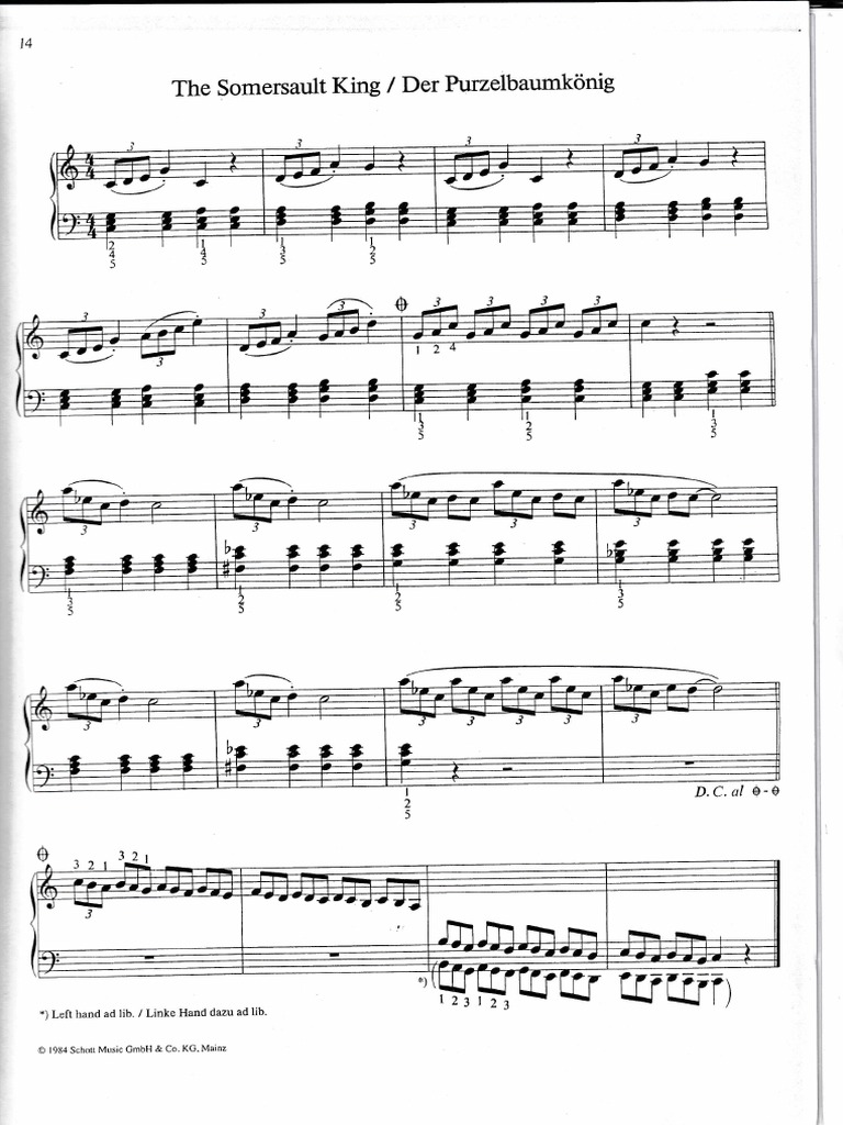 The Somersault King | PDF