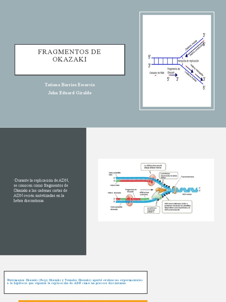 Fragmentos de Okasaki | PDF