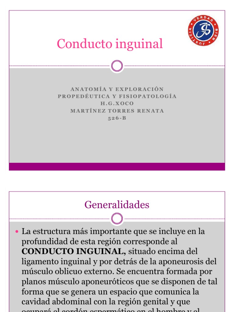 Anatomía del Conducto Inguinal en Mujeres | PDF | Abdomen | Anatomía humana