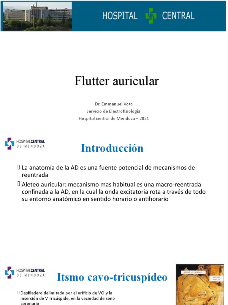 Flutter Auricular - EEF | PDF | Electrocardiografia | Electrofisiologia