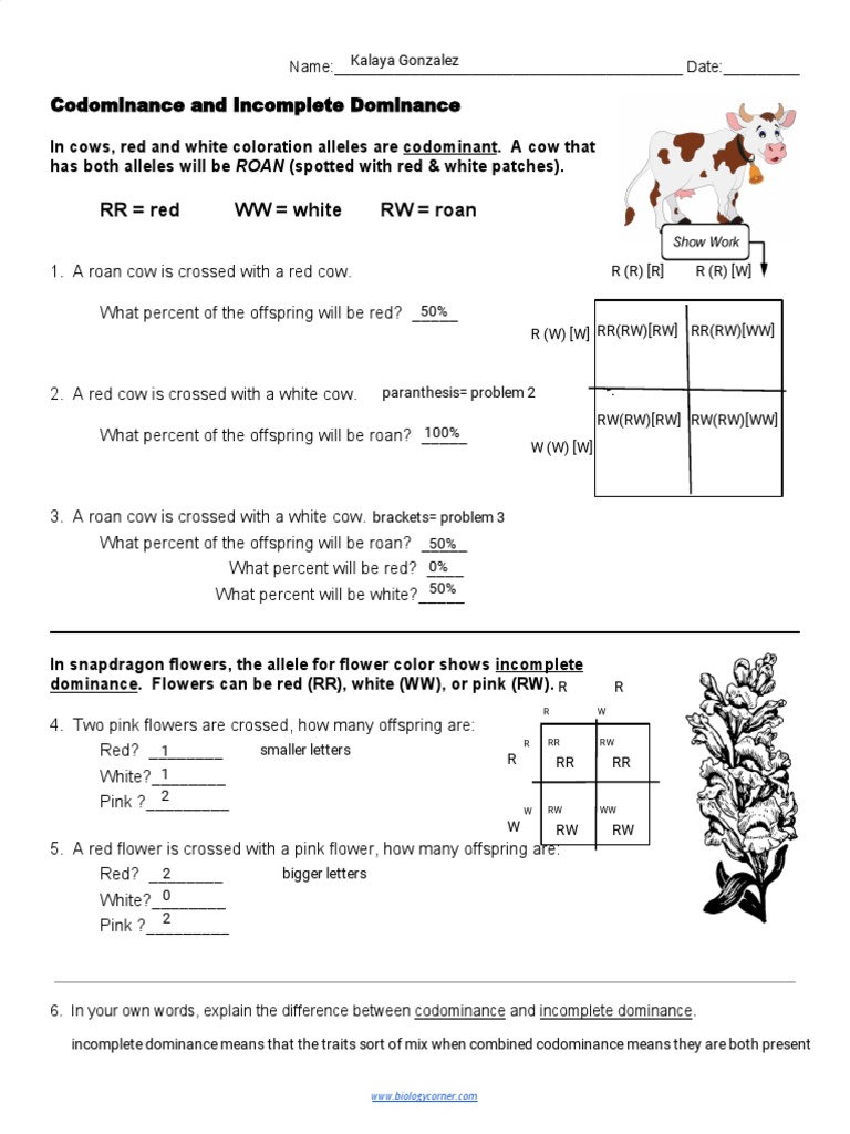 KALAYA GONZALEZ - Codominance and Incomp. Dom. | PDF | Dominance ...