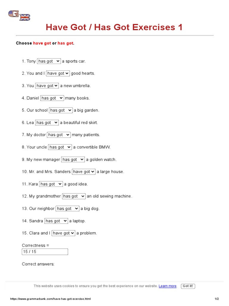 Have Got & Has Got Exercises - GrammarBank | PDF | Cooking, Food & Wine