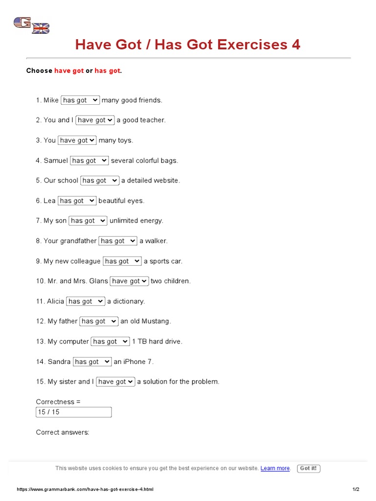 Have Got or Has Got Exercises 4 - GrammarBank | PDF
