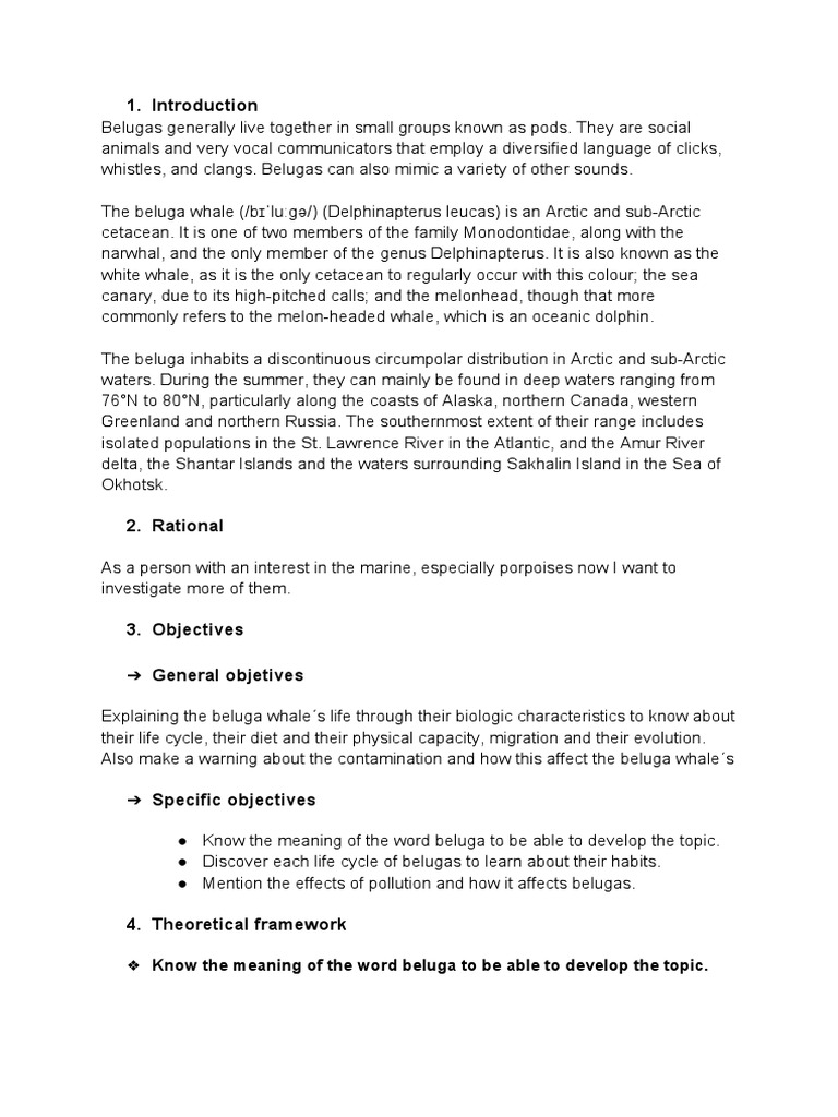 Beluga Whales | PDF | Cetacea | Whales