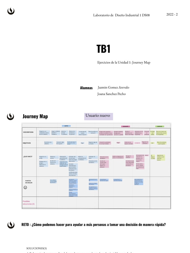 TB1 Journey Map | PDF