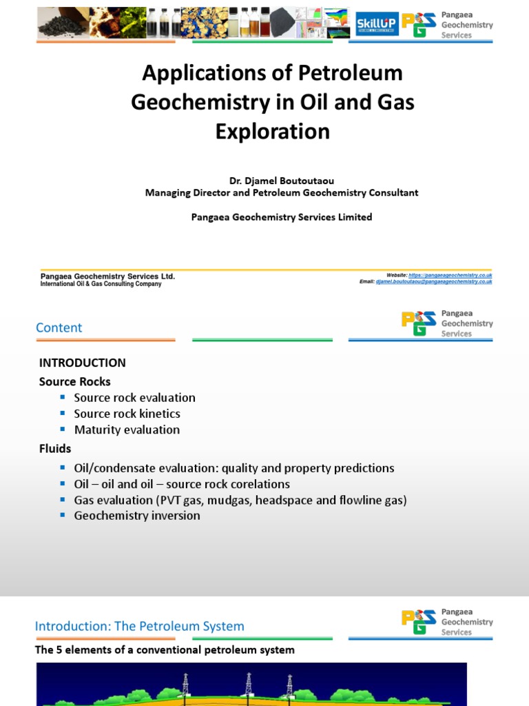 Geochemistry Applications - SkillUP | PDF | Petroleum Reservoir | Petroleum
