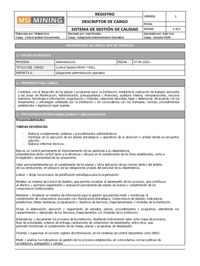 Descriptor de Cargo Control Gestion | PDF | Planificación | Sistema de manejo de calidad