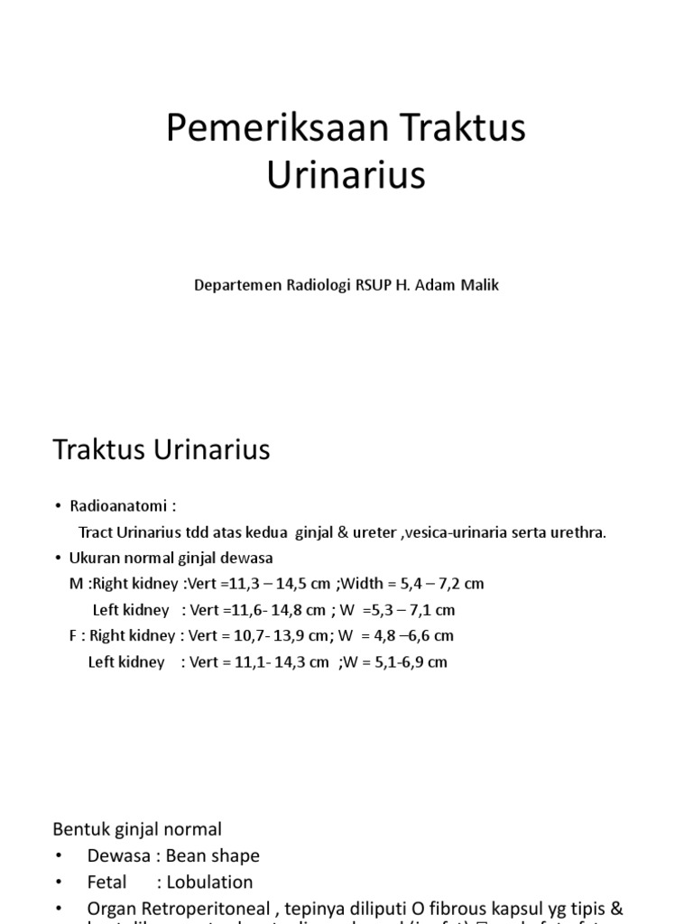 Pemeriksaan Traktus Urinarius Radiologi | PDF | Sains & Matematika