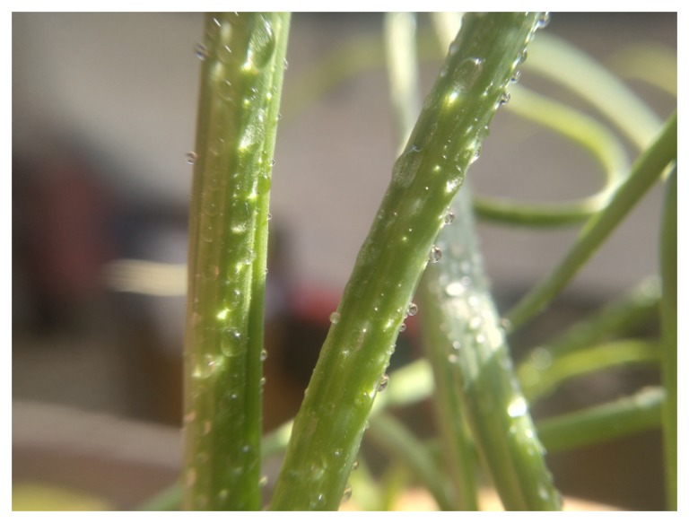 1970-01-01 05.30.00-1 | PDF