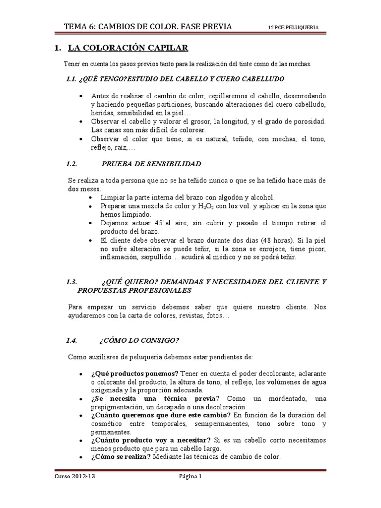 Guía Previa para Cambios de Color | PDF | Pelo