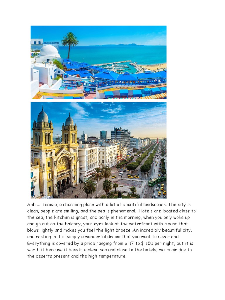 Tunisia | PDF