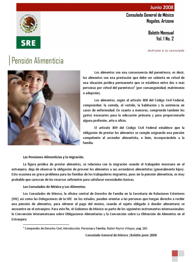 Pension Alimenticia Extranjero Sre | PDF | Pensión alimenticia | Justicia