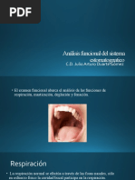 Concepto y Anatomia Paladar Primario y Secundario | PDF | Anatomía ...