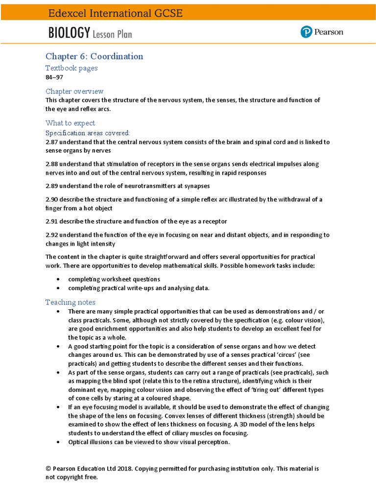 IGCSE - Bio - Lesson Plan 6 - Coordination | PDF | Nervous System | Senses