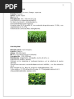 Ficha Tecnica Bullgrass 30.4 SL | PDF | Plantas | Botánica