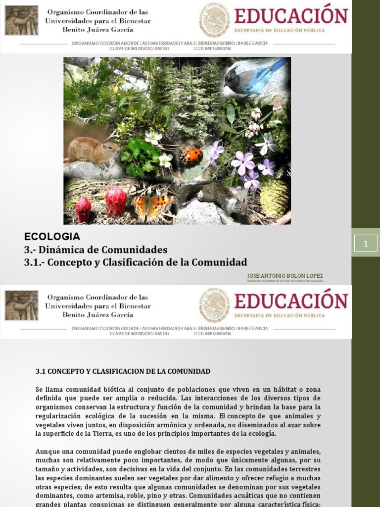 3.1. - Concepto y Clasificación de La Comunidad | PDF | Alimentos | Plantas