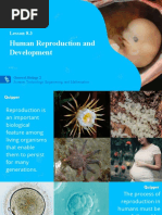 Human Reproduction Module 1 - Development and Function of Reproductive ...