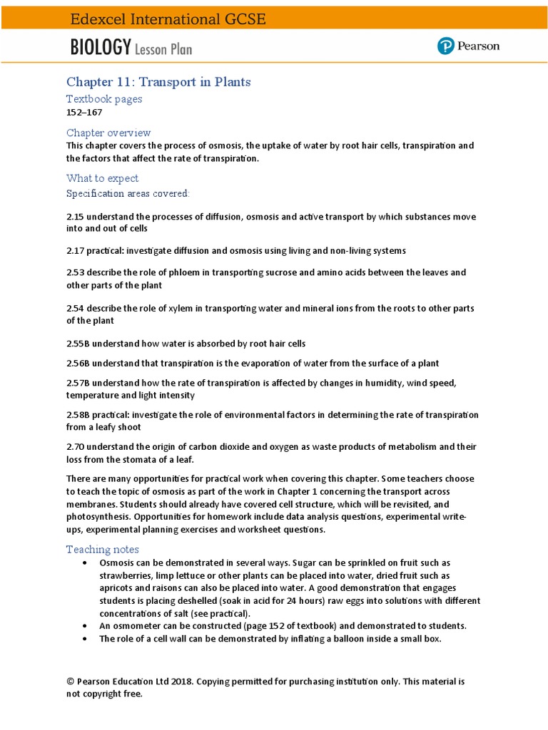 IGCSE_Bio_Lesson Plan 11_Transport in Plants | PDF | Leaf | Branches Of ...