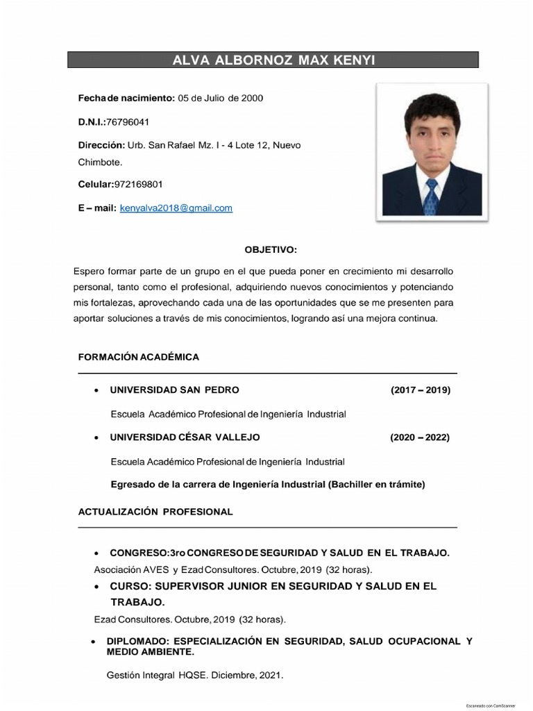 CV Alva Albornoz Max | PDF